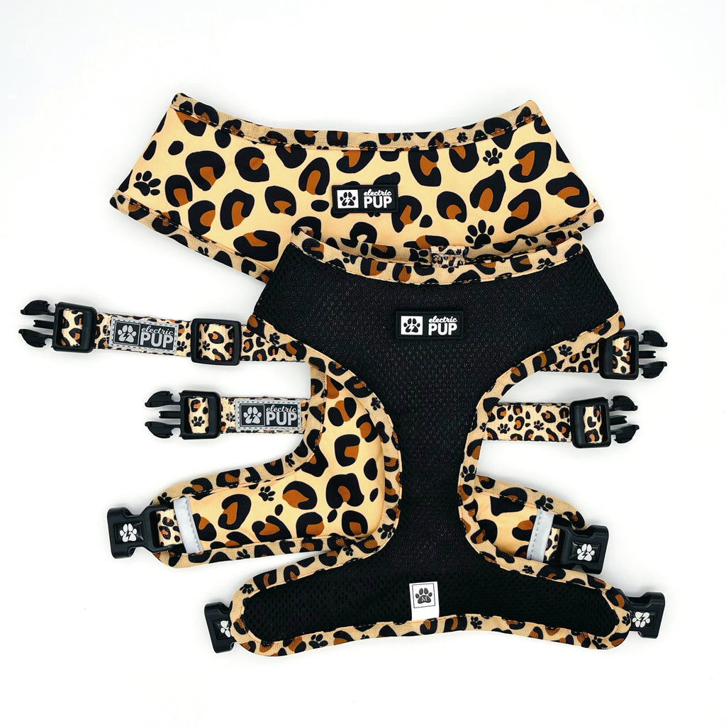 Black Leopard Reversible Harness – Electric Pup