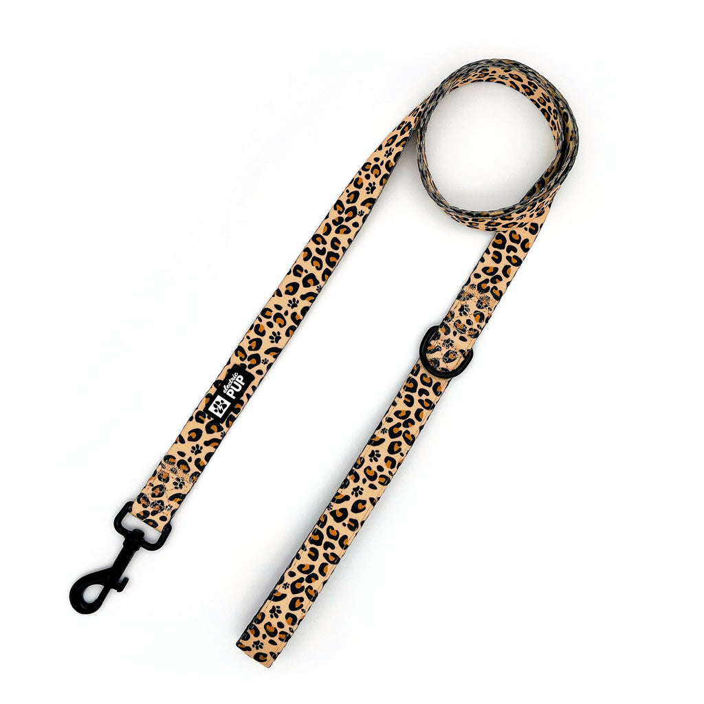 Black Leopard Leash – Electric Pup